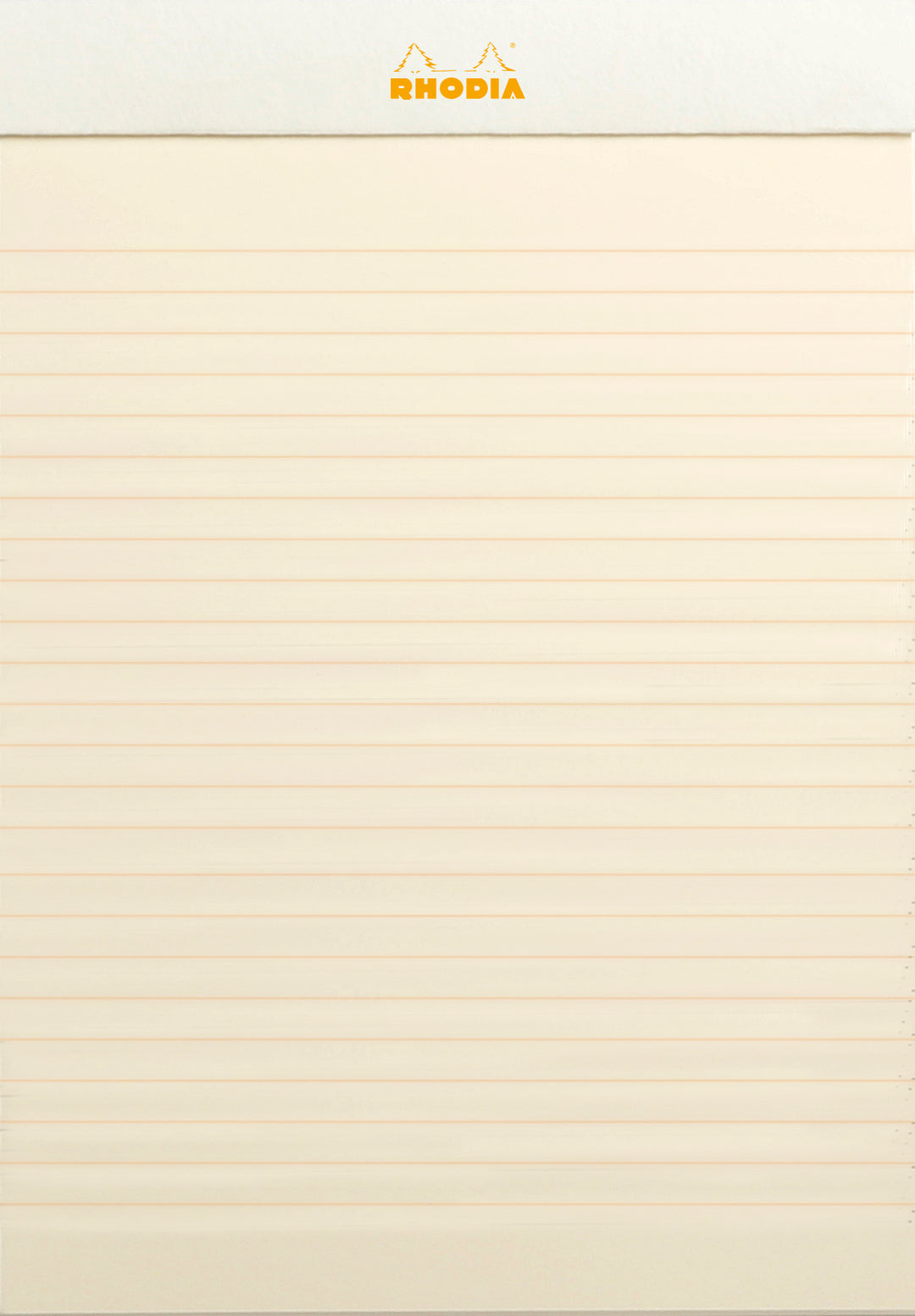 Rhodia Heritage Black Escher Stapled Line Ruled Notepad - A5 – AARCAAI